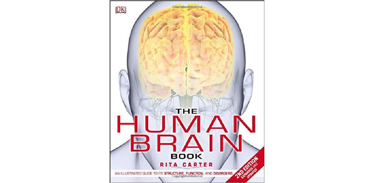 The Human Brain Book - The CEO Library